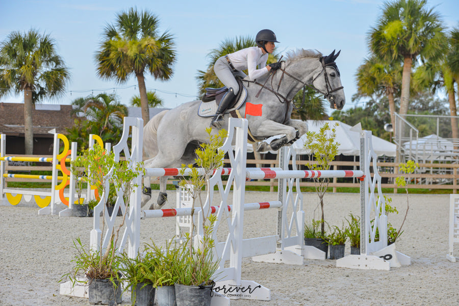 Digestive HP – Poseidon Animal Health USA