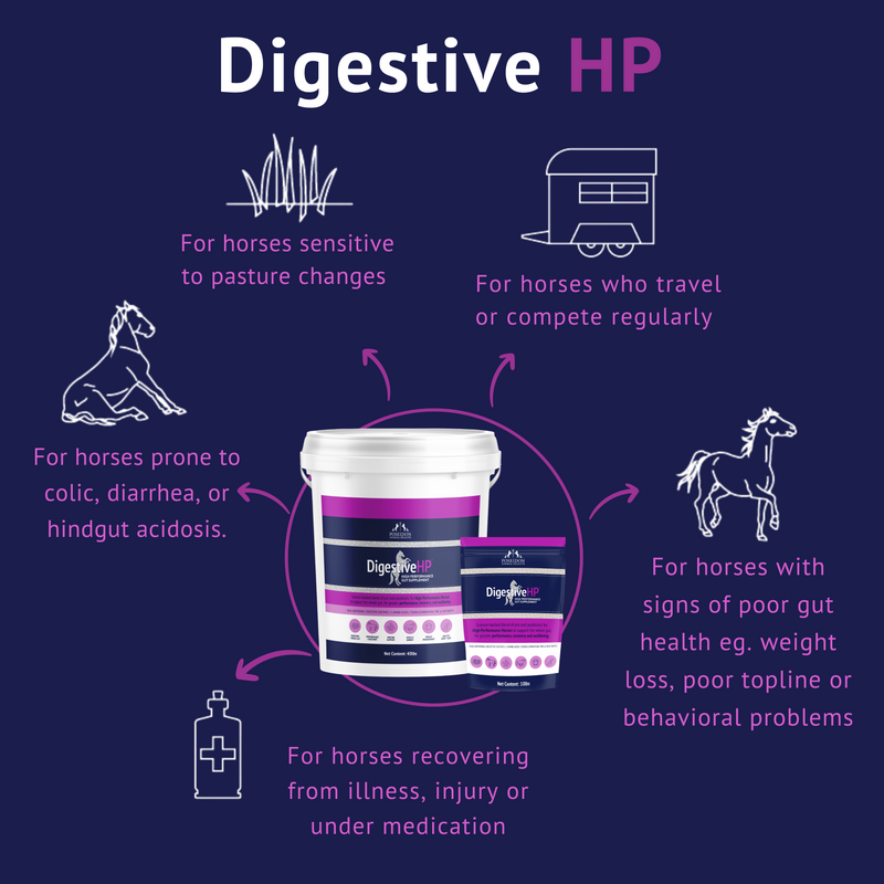 Digestive HP – Poseidon Animal Health USA