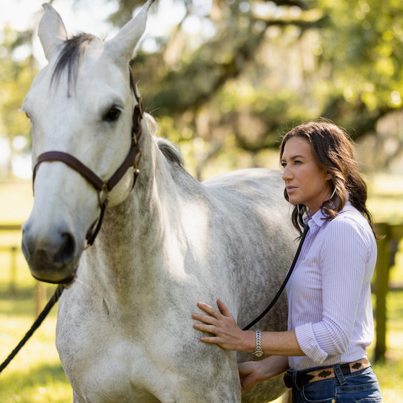 Stress Paste for Horses | Equine Stress Paste for Root Cause of Stress – Poseidon Animal Health USA